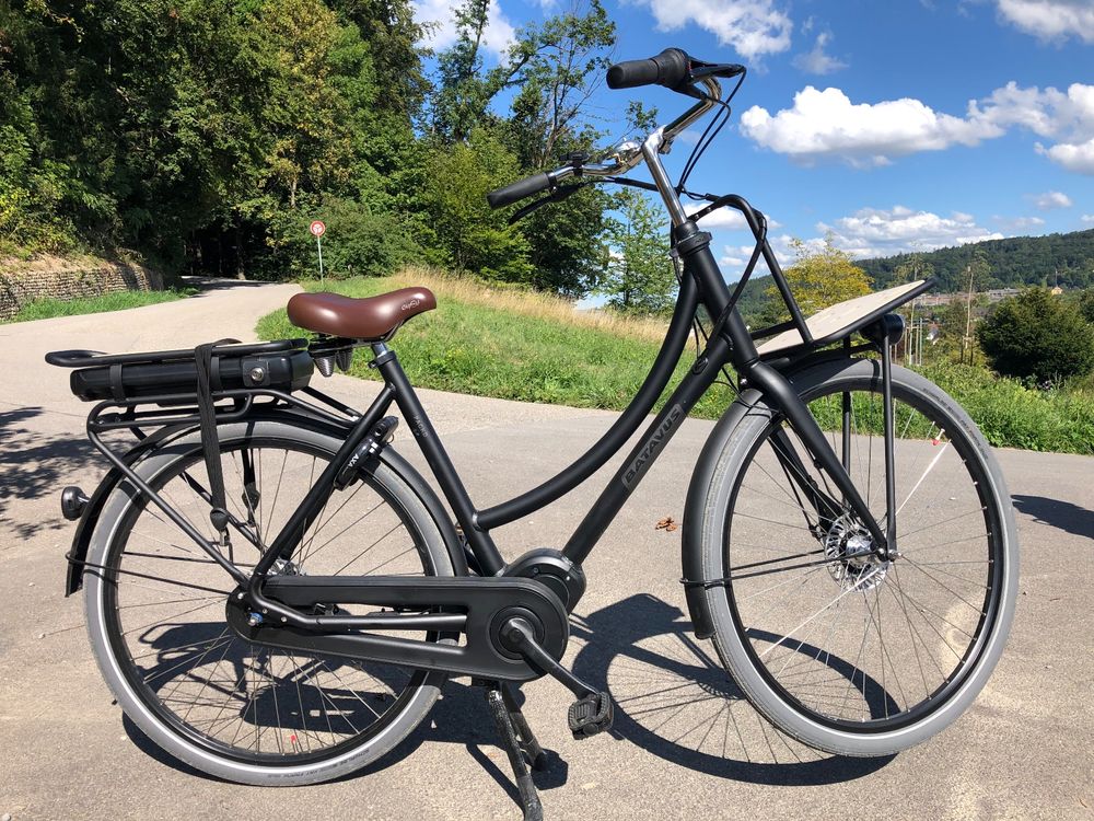 Elektro Holandvelo Batavus Packd E-Go plus - E-Bike (Gebraucht) in ...
