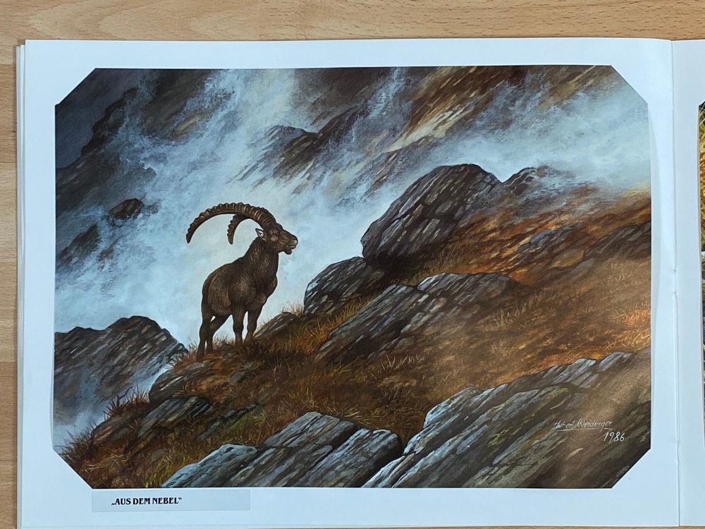Hubert Weidinger (1951) Mappe mit 12 imposanten Bildern (Gebraucht) in ...