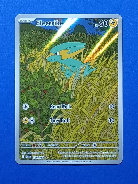 Pokemon Team Rockets Destined Rivals Electrike 196 IR 🇬🇧 (Neu (gemäss ...