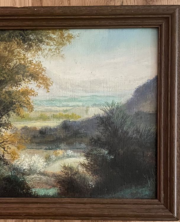 Victor Manver (xx-xxl) Landschafts Gemälde (Gebraucht) in Root für CHF ...