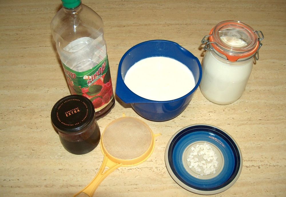 KEFIR - Milch-Kefirpilze - Knollen + Sieb 10 cm = Starterset (Neu und ...