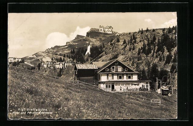 Rigi Staffelhöhe Hotel Und Pension Ede Kaufen Auf Ricardo