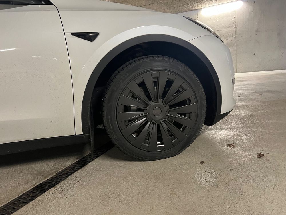Tesla Model Y 19 Inch Wheel Hub Caps (2018-2024) (Neu (gemäss ...