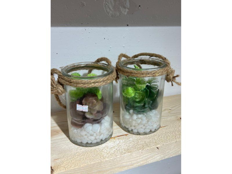 2 Deko Gläser Sukkulenten Kunstpflanzen (Neu und originalverpackt) in ...