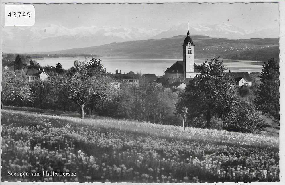 Seengen am Hallwilersee im Frühling (Gebraucht) in Ettingen für CHF 4 ...