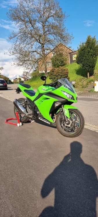 Kawasaki Ninja 300, Grün, guter Zustand, Frühling bereit! (Gebraucht ...