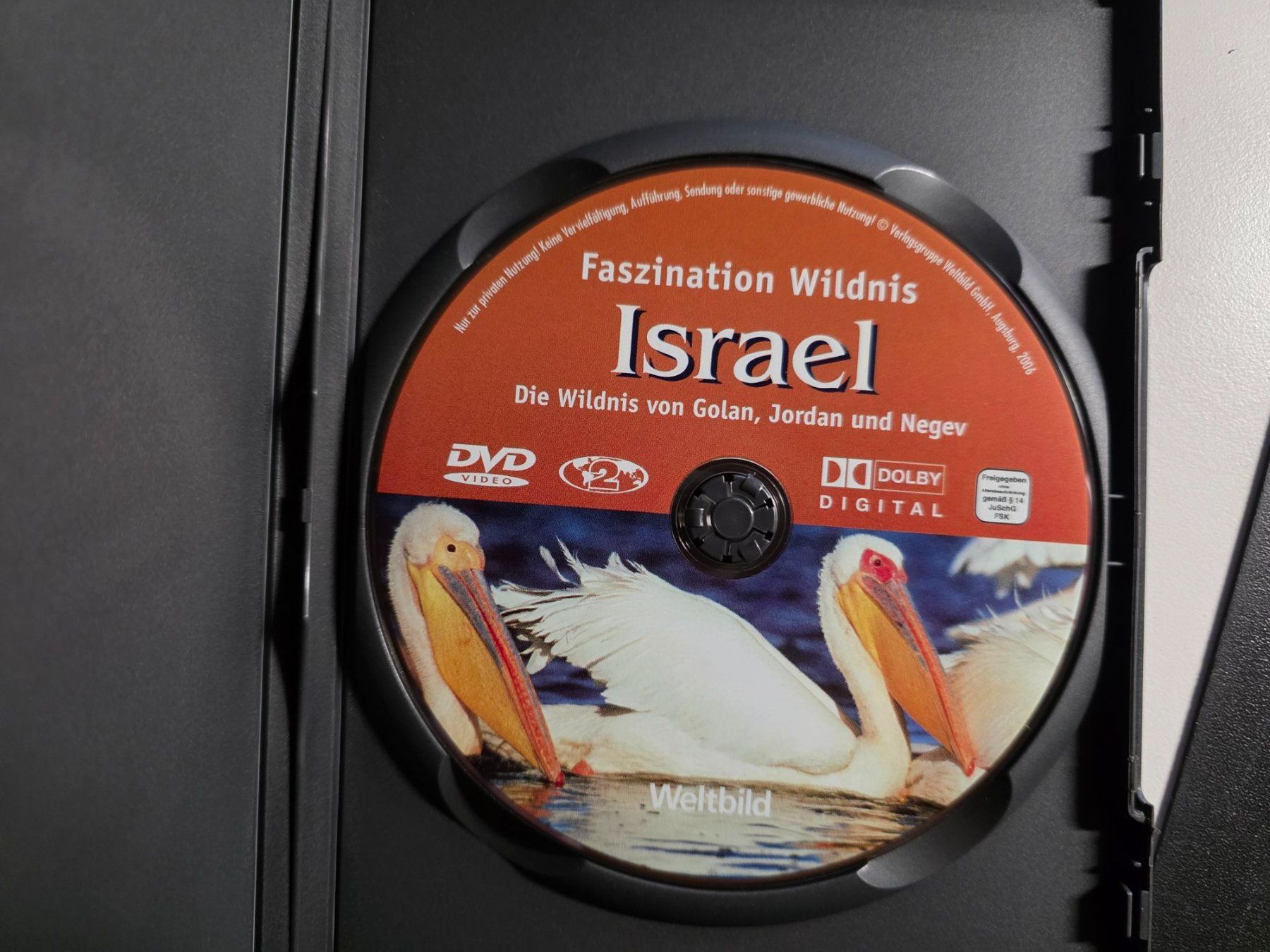 DVD - Israel - Faszination Wildnis - Weltbild (Gebraucht) in Walterswil ...