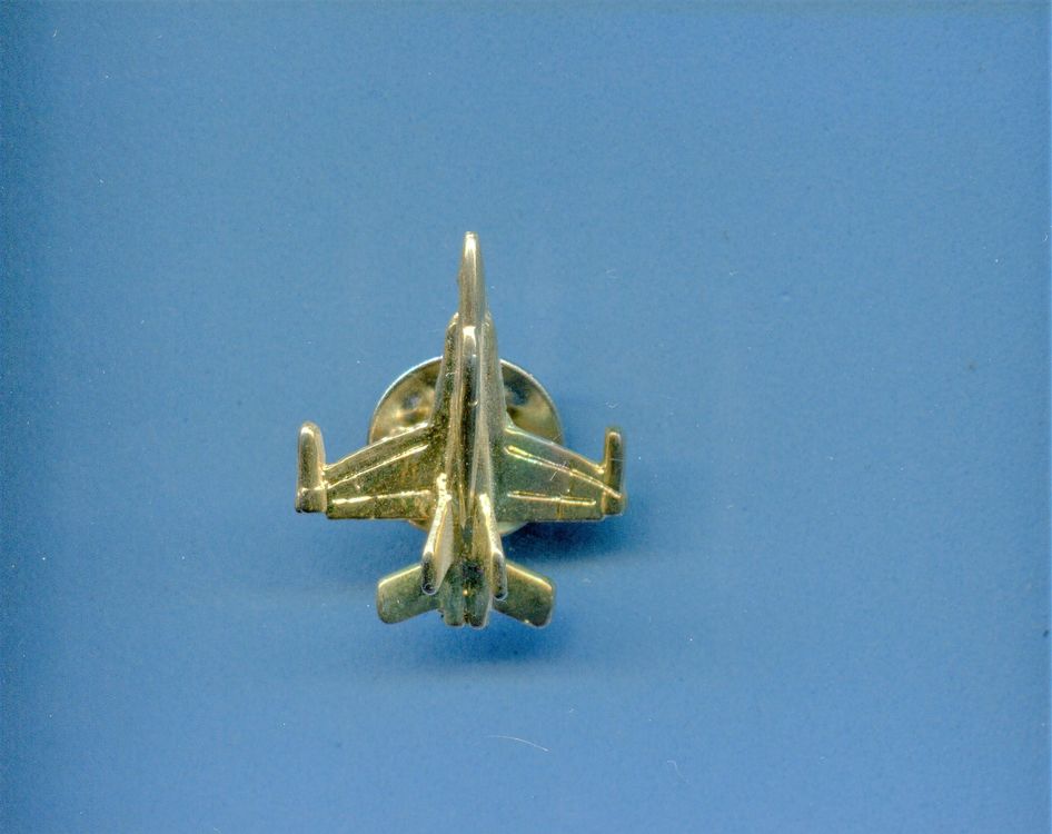 3D Flugzeug F18 HORNET (Gebraucht) in Winterthur für CHF 1 – mit ...