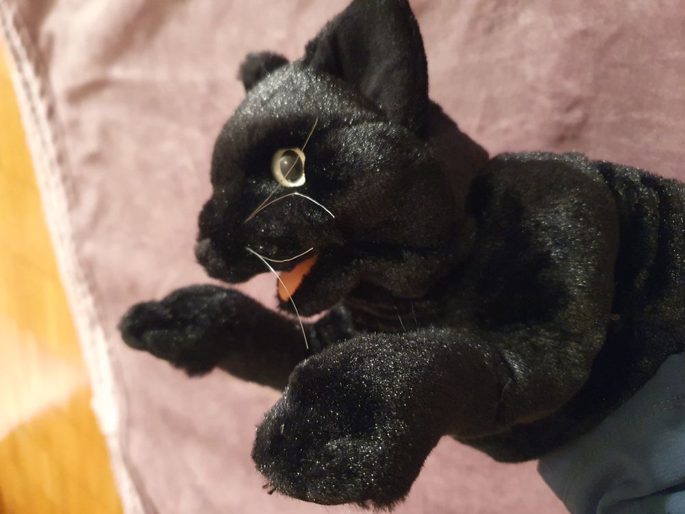 Katze Handpuppe Folkmanis | Kaufen auf Ricardo