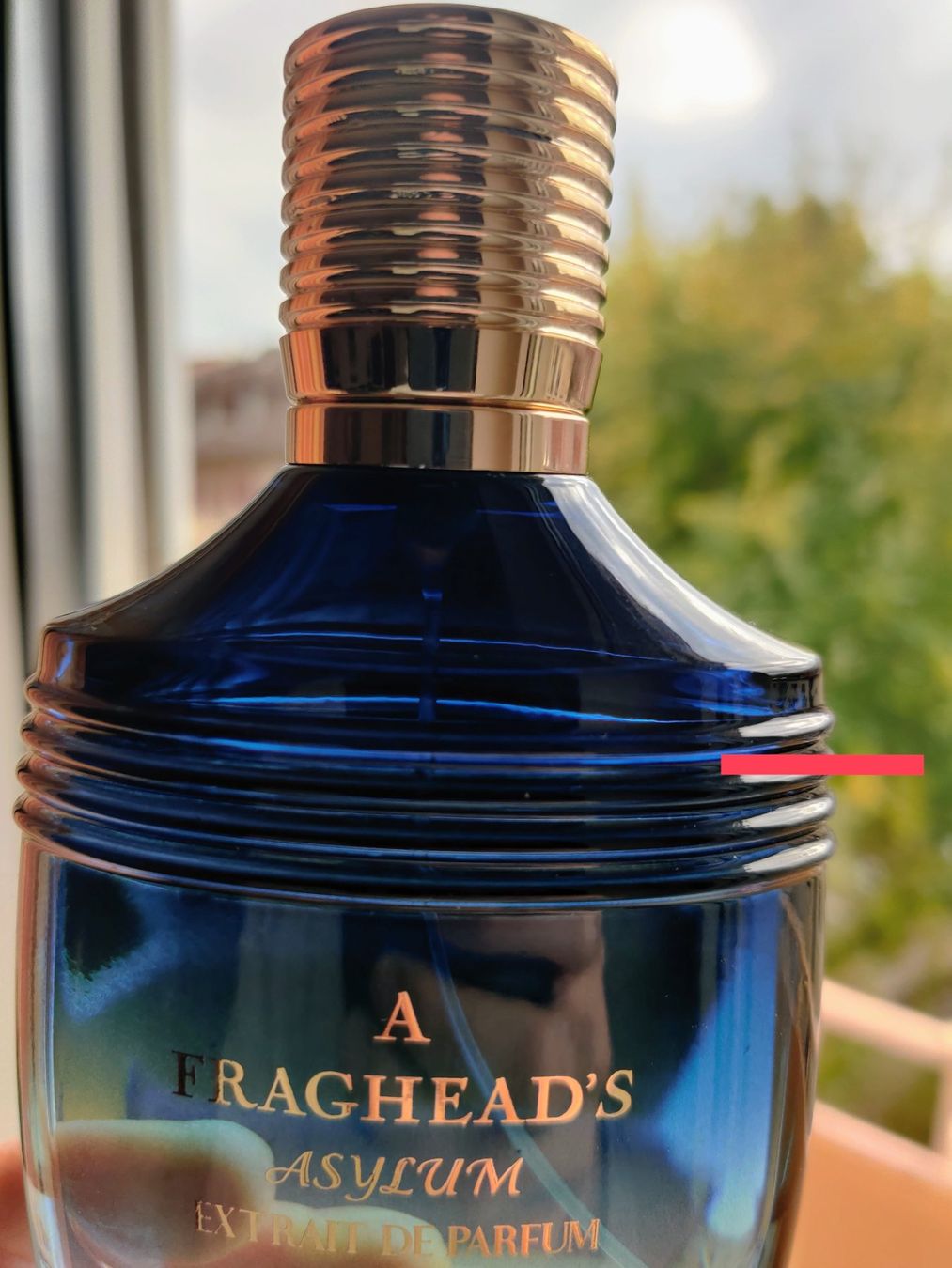 Fomo A Fragheads Asylum | Dupe zu Roja Elysium (Gebraucht) in Bern für ...