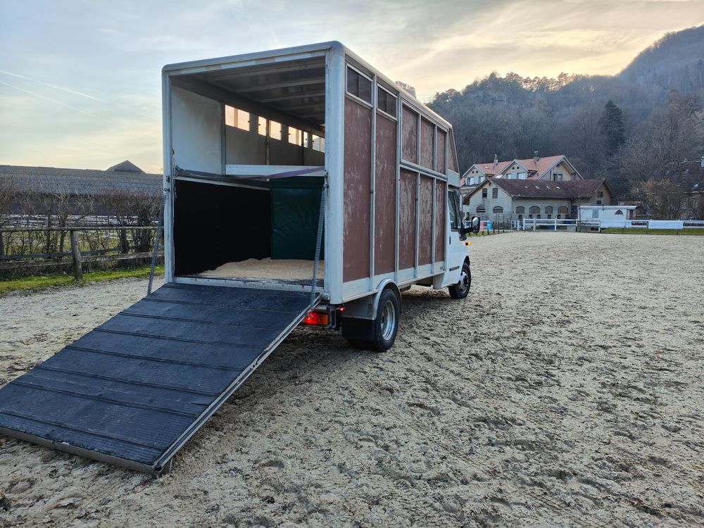 Pferdetransporter Selbstfahrer Scherz | Kaufen auf Ricardo