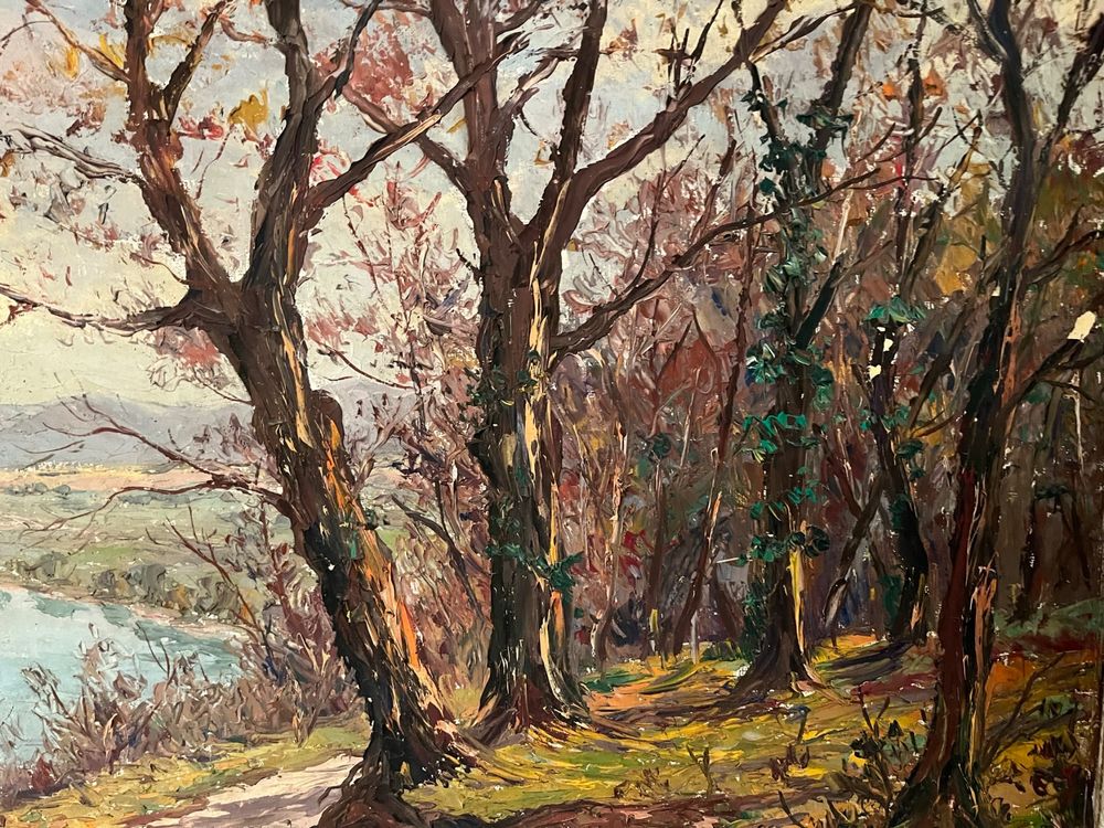 VICTOR HOFER - Landschaft sehr schönes Bild (Gebraucht) in Basel für ...