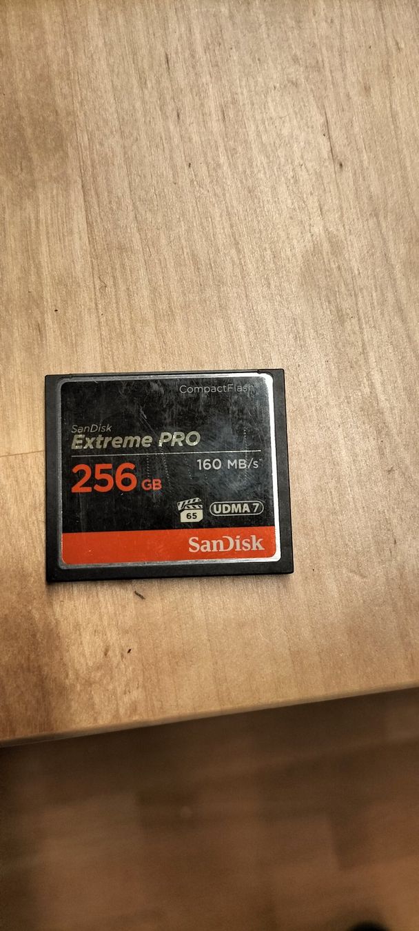 SanDisk Extreme PRO 256GB Compact Flash (Gebraucht) in Kerzers für CHF ...