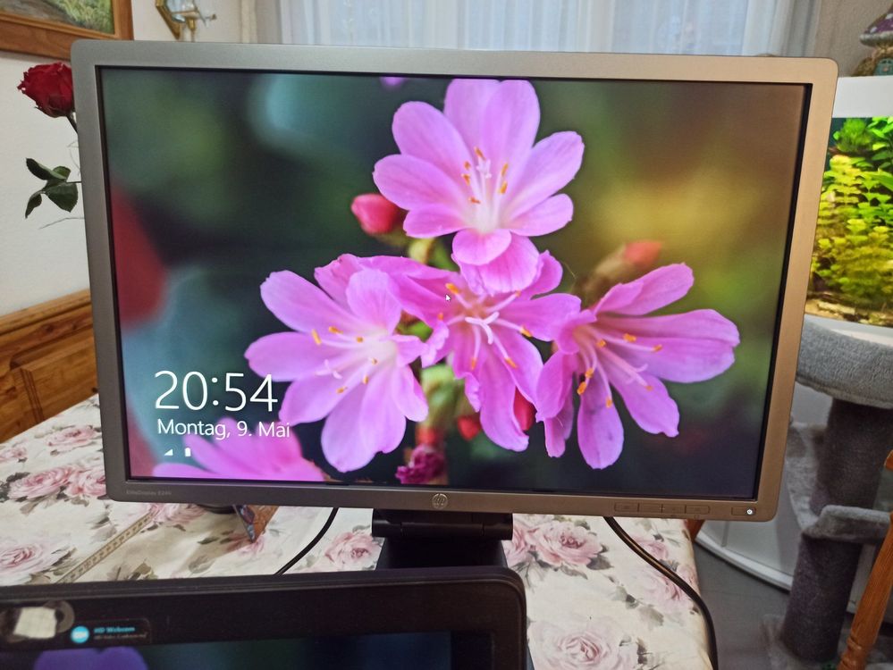 HP E241i EliteDisplay 24" (Gebraucht) in Köniz für CHF 29 – mit ...