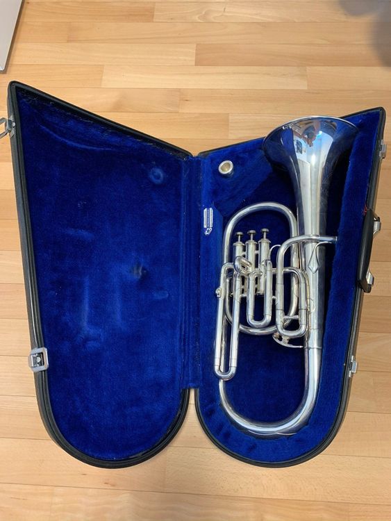 Es Horn / Althorn (Gebraucht) in Wettswil für CHF 50 – mit Lieferung ...