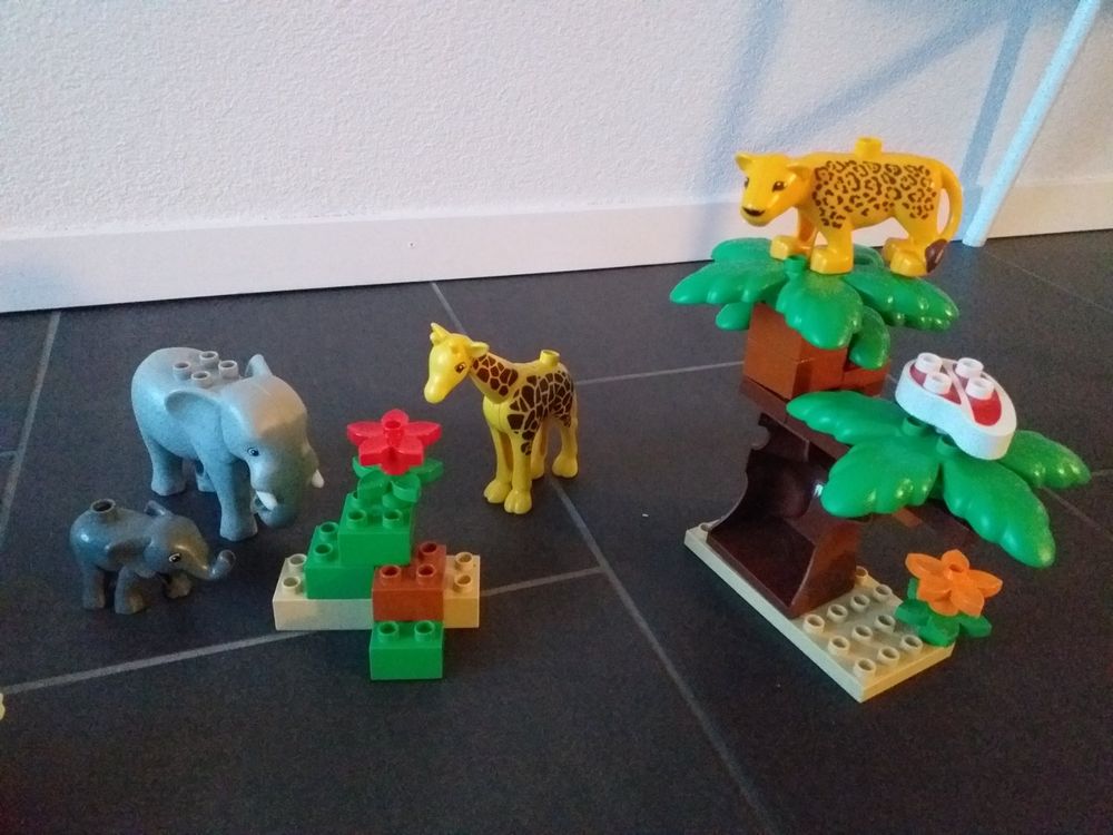 Lego Duplo Foto Safari (Gebraucht) in Wohlen b. Bern für CHF 25 – mit Lieferung auf Ricardo kaufen