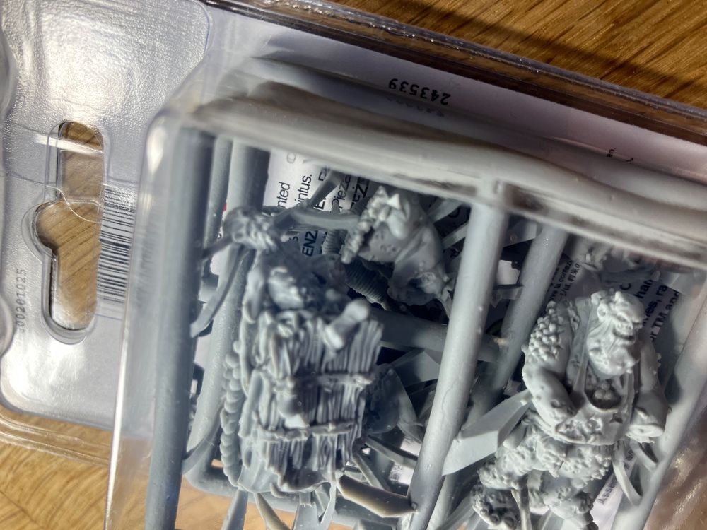 WARHAMMER Fantasy AoS Chaos Festus the Leechlord Blister (Neu (gemäss ...