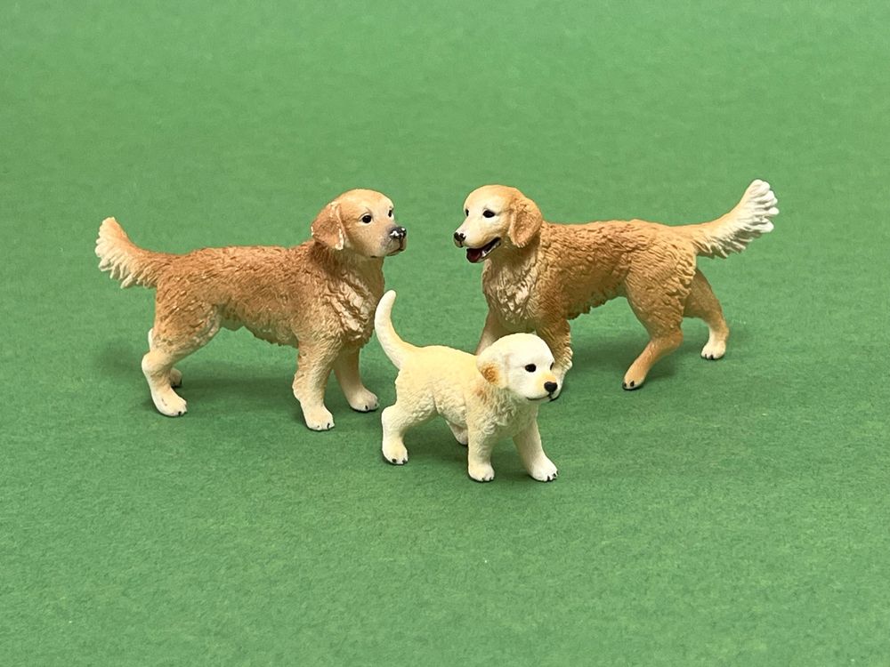 Schleich Golden Retriever Hund Hunde Rüde Welpe (Gebraucht) in Ennetbaden für CHF 13 – mit ...
