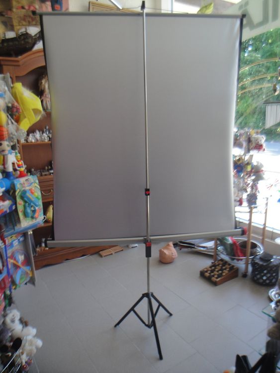 Leinwand mit dreibein Stativ , silber und weiss, Thurgau | Kaufen auf Ricardo