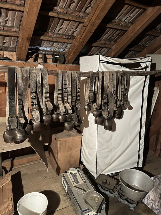 Glocken, diverse Grössen (Gebraucht) in Romanshorn für CHF 283 – nur ...