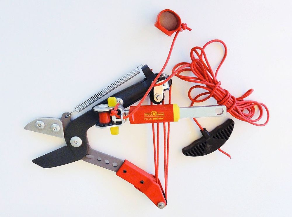 Wolf Baumschere mit Teleskopstiel (Gebraucht) in für CHF 40 – nur ...