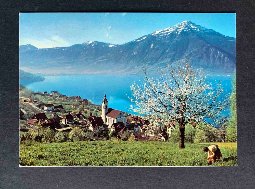 AK Walchwil am Zugersee mit Rigi (Gebraucht) in Goldau für CHF 3 – mit Lieferung auf Ricardo kaufen