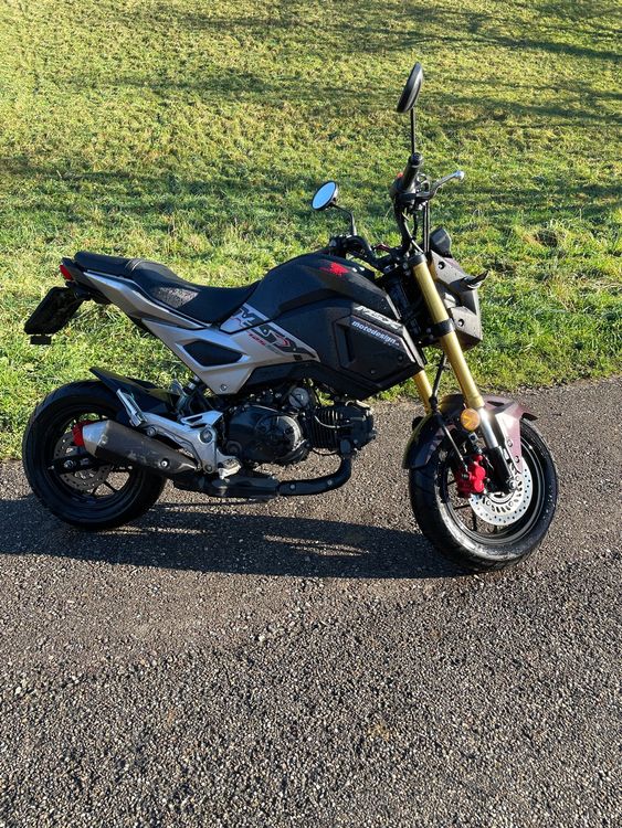 Honda MSX 125 | Kaufen auf Ricardo