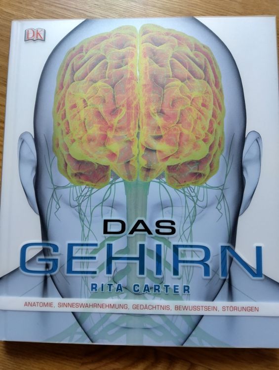Das Gehirn - Anatomie, Sinn, Gedächtnis - Rita Carter 🧠 (Gebraucht) in Rorschacherberg für CHF ...