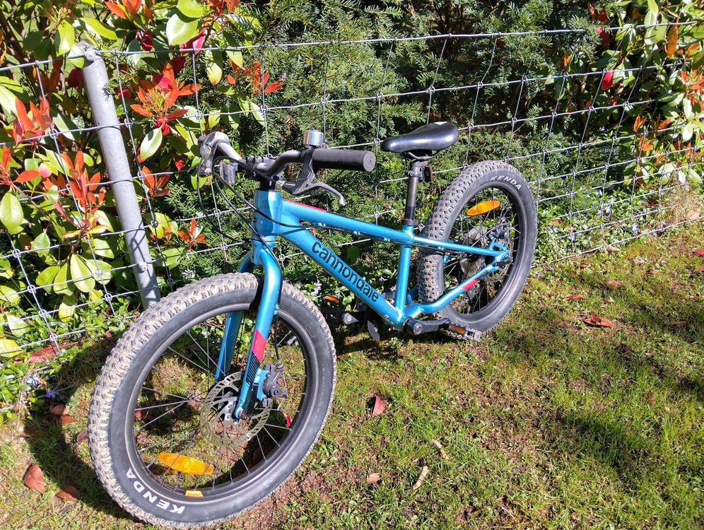Cannondale Kinderfahrrad 20 Zoll, Fatbike, Top Zustand! | Kaufen auf ...