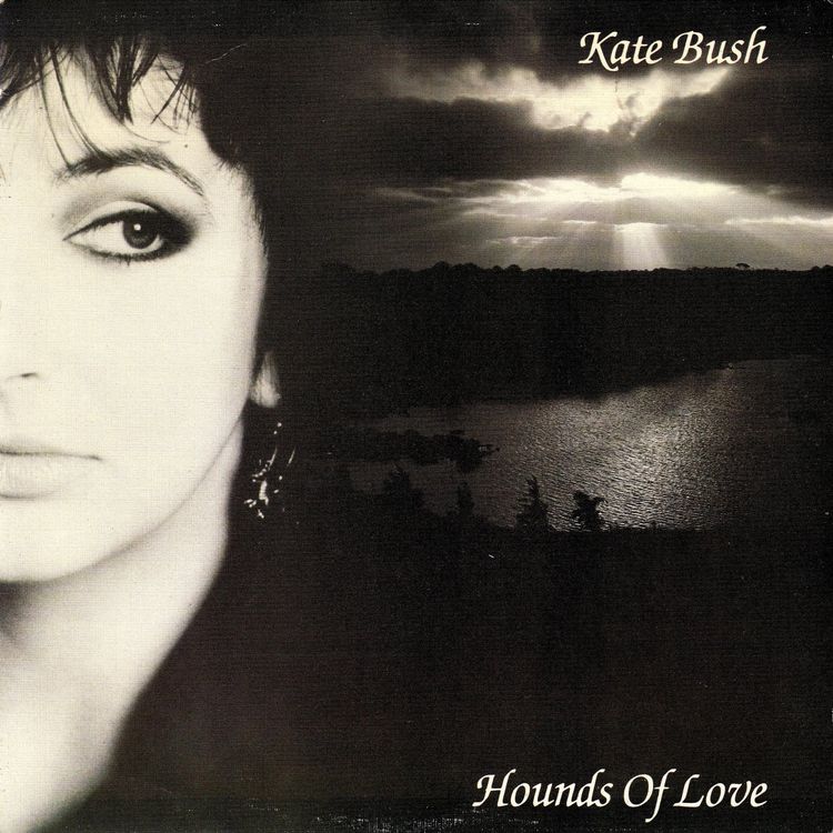 Kate Bush Vinyl Single von 1985 (Gebraucht) in Volketswil für CHF 10 ...