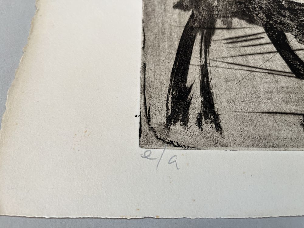 aus Grafiksammlung Radierung von Rudolf Mumprecht / EA (Gebraucht) in ...