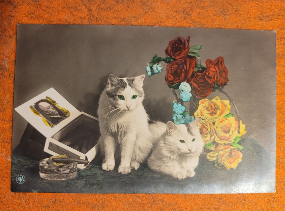 Kitsch Postkarte mit zwei Katzen und Straussen Rosen (Neu (gemäss ...