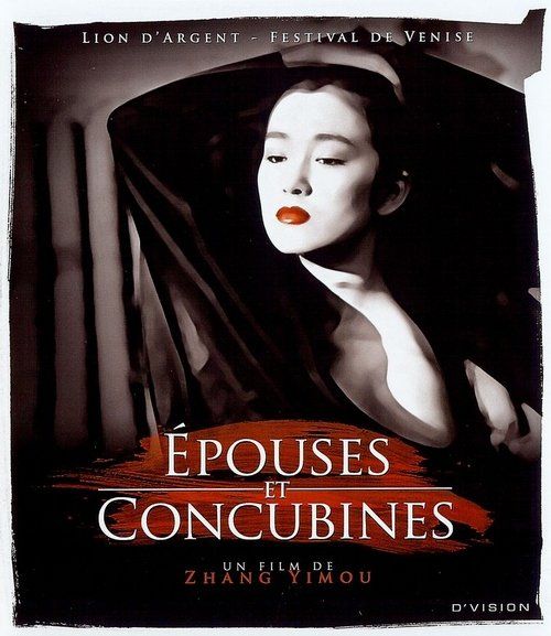 ÉPOUSES ET CONCUBINES (DA HONG DENG LONG GAO GAO GUA) | Kaufen auf Ricardo