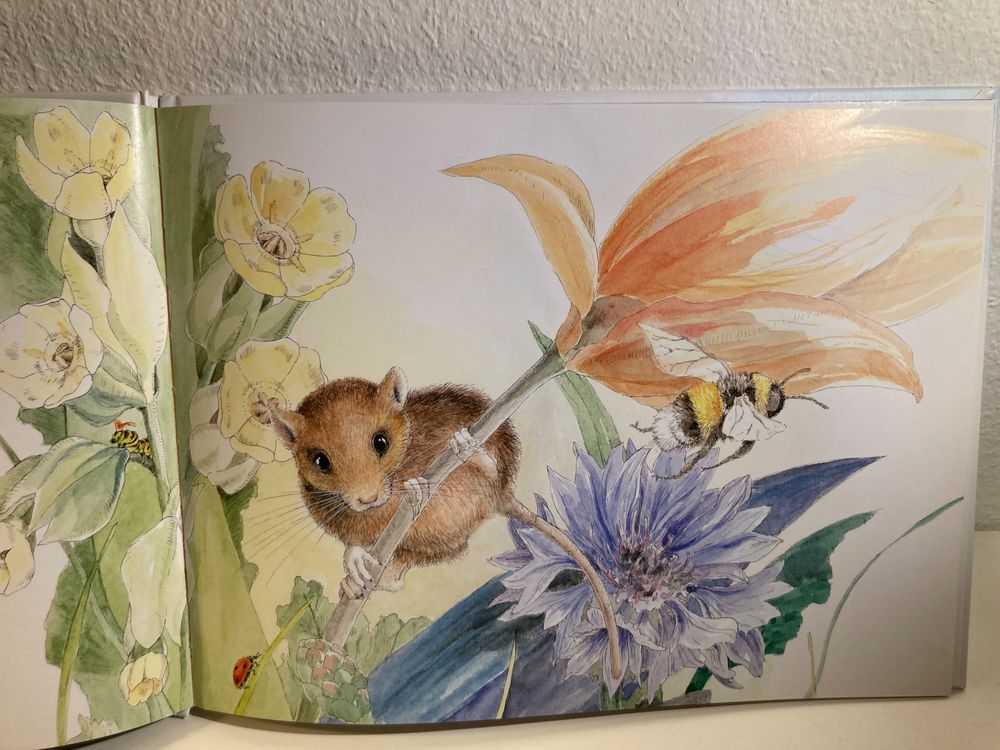 Bilderbuch "Maus will hoch hinaus" | Kaufen auf Ricardo