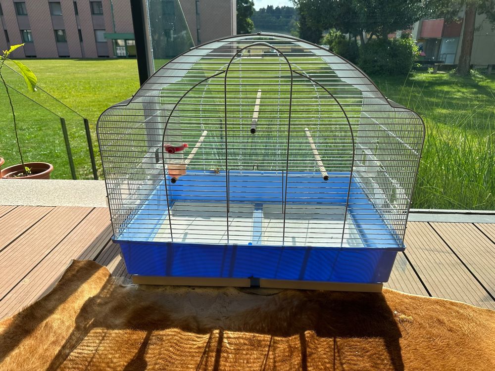 Vogel Käfig Gebraucht (Gebraucht) in Brüttisellen für CHF 50 – nur ...