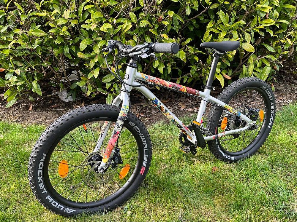 Early Rider Seeker 20 Kindervelo viele Upgrades Top Zustand | Kaufen ...
