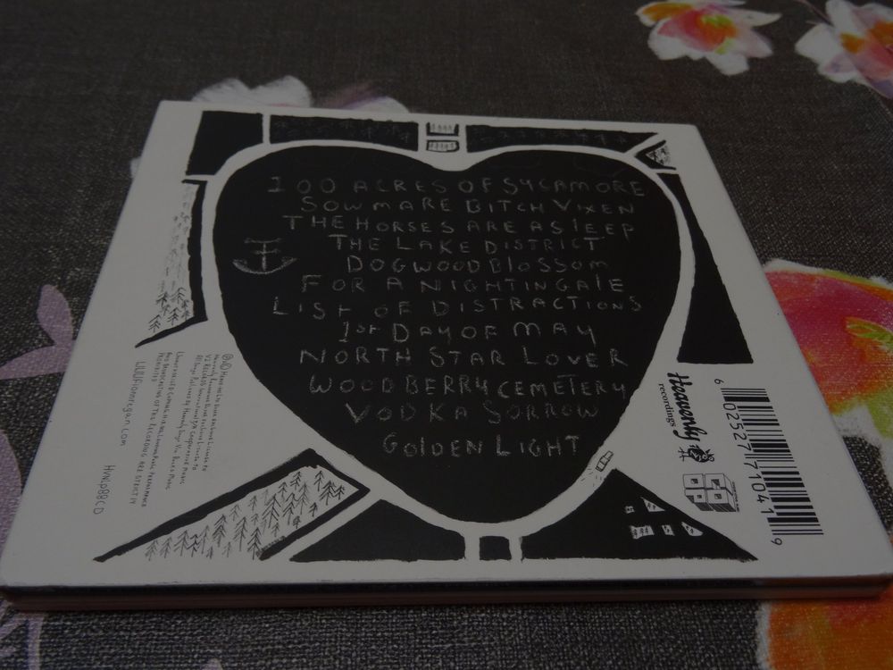 Fionn Regan - 100 Acres of Sycamore CD (Gebraucht) in Olten für CHF 4 ...