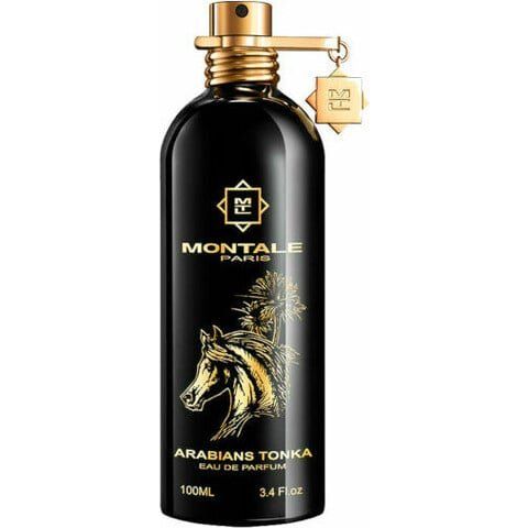 Montale Arabians Tonka Probe