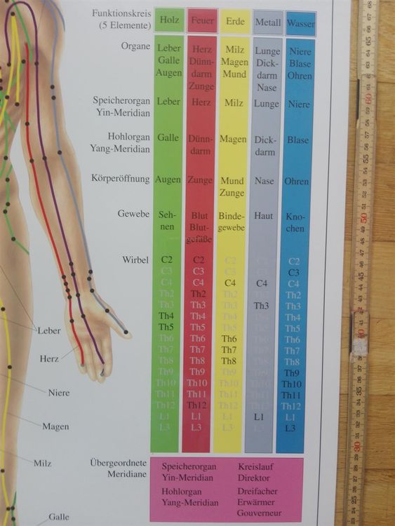 Meridiane & Dorntherapie (Poster B-1) (Gebraucht) in St.Galllen für CHF ...