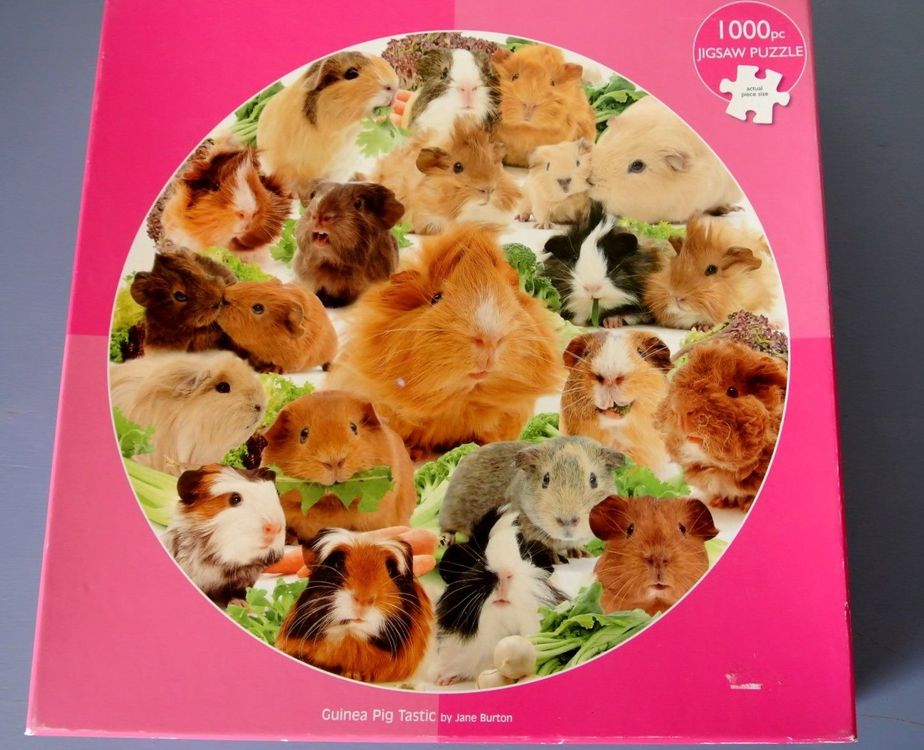 Rundes 1000 Teile Puzzle Guinea Pig Tastic von Jigsaw | Kaufen auf Ricardo