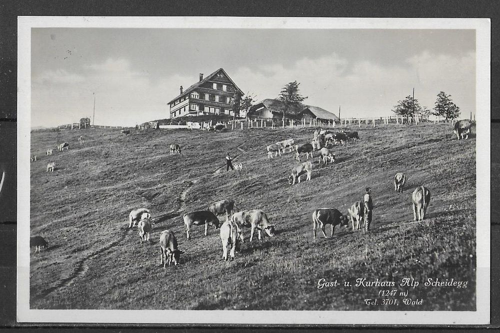 ZH Wald 1927 Gast-und Kurhaus Alp Scheidegg (Gebraucht) in Schocherswil für CHF 6 – mit ...
