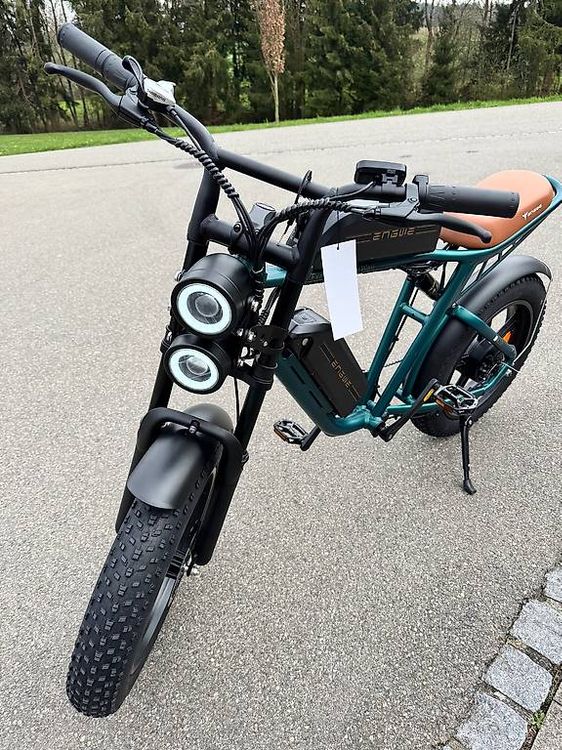 Engwe M20 E-Bike 25 km/h Green (Gebraucht) in Schönholzerswilen für CHF ...
