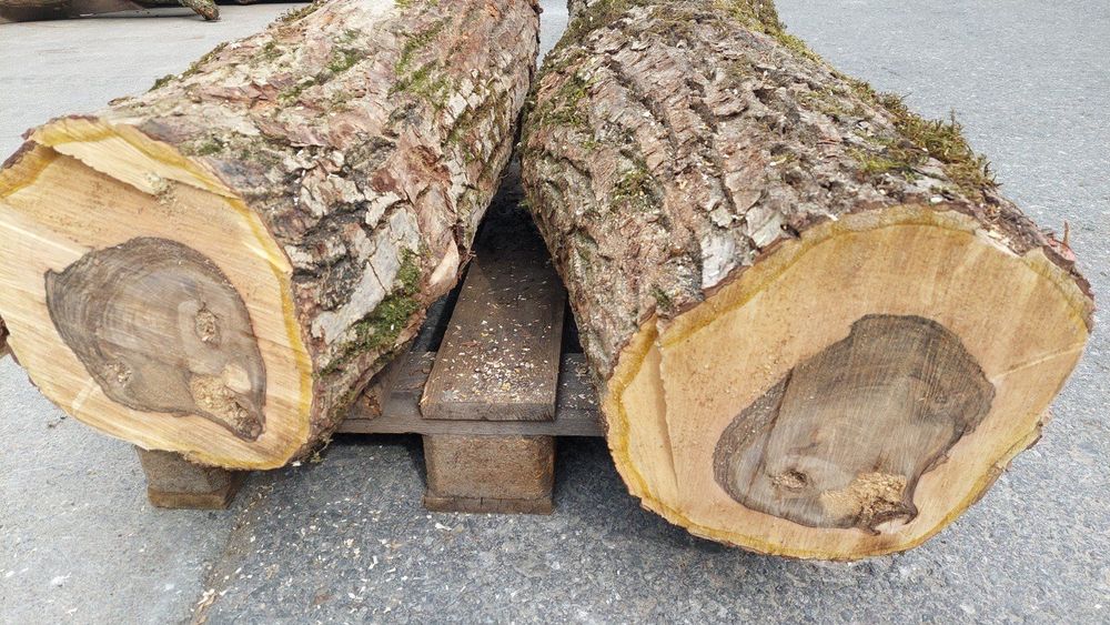 Nussbaum Nussholz Ast drechseln basteln | Kaufen auf Ricardo