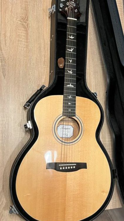 PRS SE TX20E | Kaufen auf Ricardo