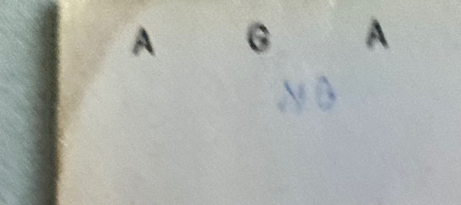 BOB SEGER & THE SILVER BULLET BAND - AGAINST THE WIND (D'occasion) à ...