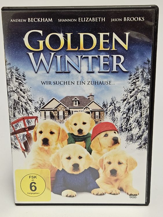 Golden Winter / DVD #WT18 (Gebraucht) in Oberdorf BL für CHF 1.9 – mit Lieferung auf Ricardo kaufen