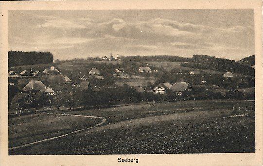 Seeberg BE Teilansicht Nr.3500 , 1939 | Kaufen auf Ricardo