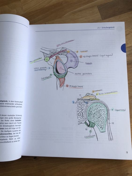 Elsevier Malbuch Anatomie (Gebraucht) in Dietlikon für CHF 12 – mit Lieferung auf Ricardo kaufen
