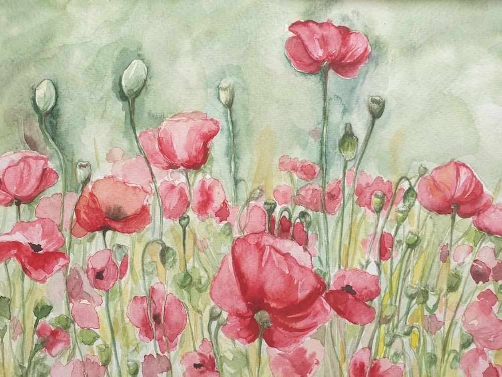 Watercolor Mohnblumen (Neu (gemäss Beschreibung)) in Hedingen für CHF 49 – mit Lieferung auf ...