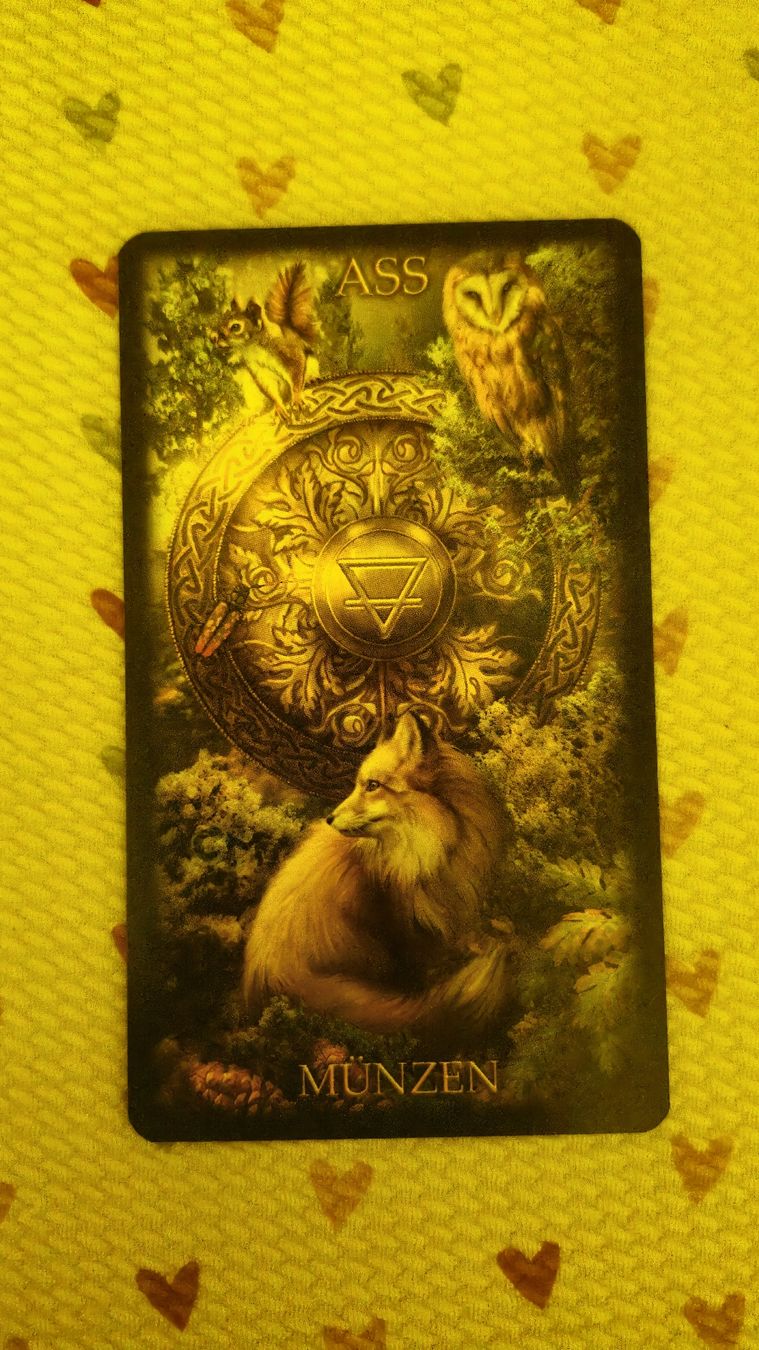 das Marchetti Tarot (Neu (gemäss Beschreibung)) in Hombrechtikon für ...